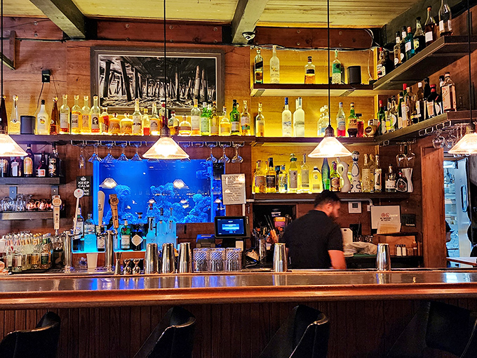 The bar area strikes that perfect balance between "serious about spirits" and "we also have a fish tank because why not?"
