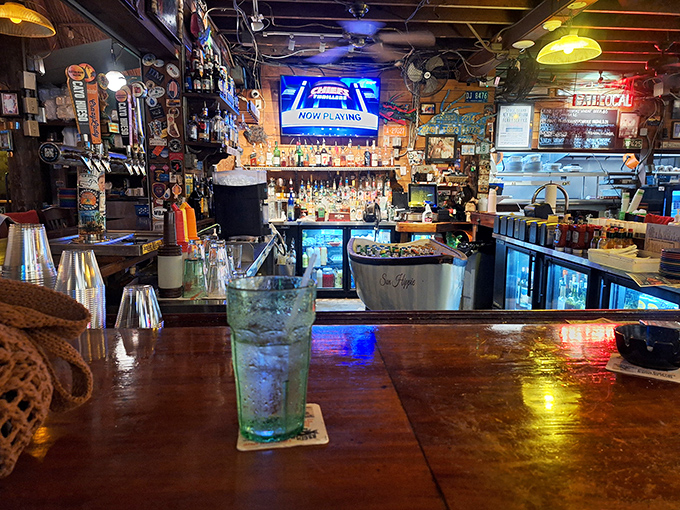 The bar glows with the warm invitation of a place where everybody might not know your name yet, but they'll remember it by your second visit.