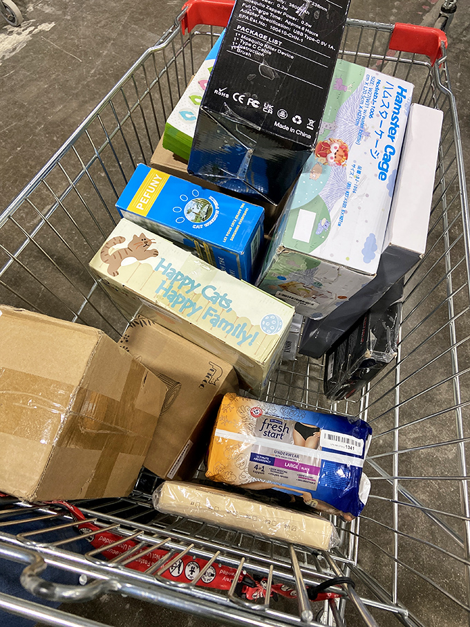 A shopping cart filled with possibility—each item representing a small victory in the retail battlefield of Anderson Bargain Bins.