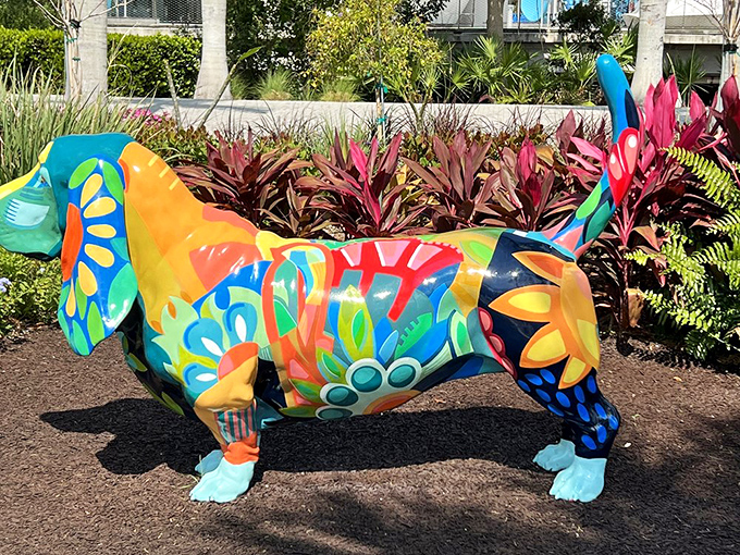 This dachshund brings new meaning to "hot dog" with its tropical color explosion. Florida sunshine makes these vibrant hues practically dance.