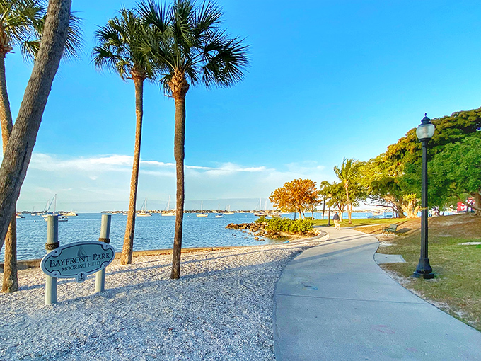 Bayfront Park's shell-white path curves alongside the harbor, offering strollers million-dollar views without the real estate commitment.