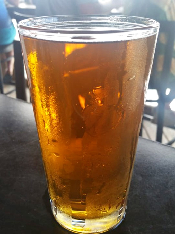 A cold beer with condensation running down the glass &ndash; Florida's version of air conditioning in a pint, best enjoyed slowly.