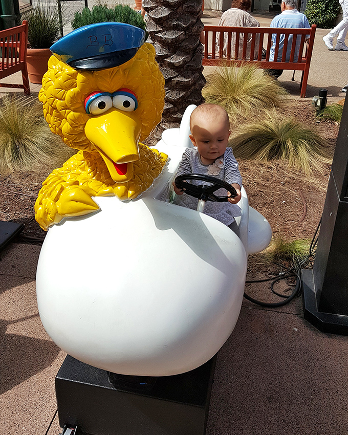 Big Bird offers a moment of nostalgia for parents and entertainment for little ones whose patience for shopping ran out three stores ago.