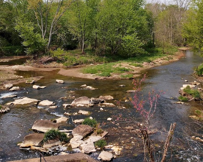 The creek's shallow waters invite exploration, with stepping stones that seem purposefully placed for the kid in all of us.