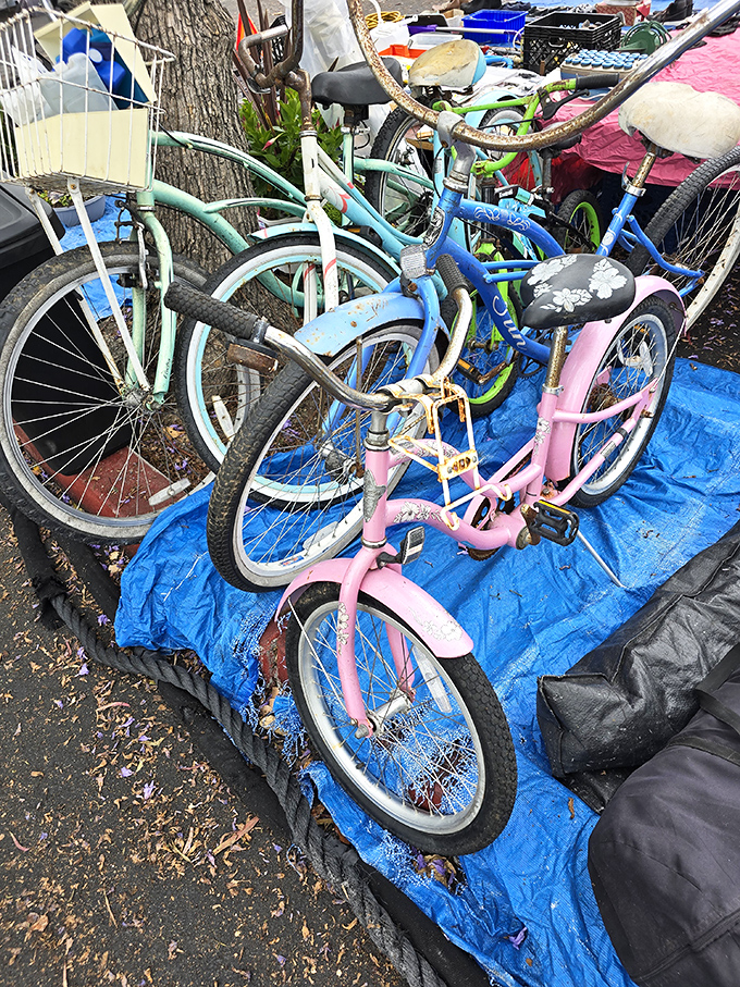 Bicycle graveyard or transportation treasure trove? These pastel beauties await their next neighborhood adventure.