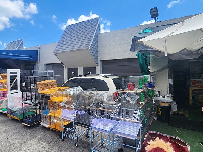 Bird cages await feathered occupants, stacked like a pet-friendly apartment complex outside this corner of the market.