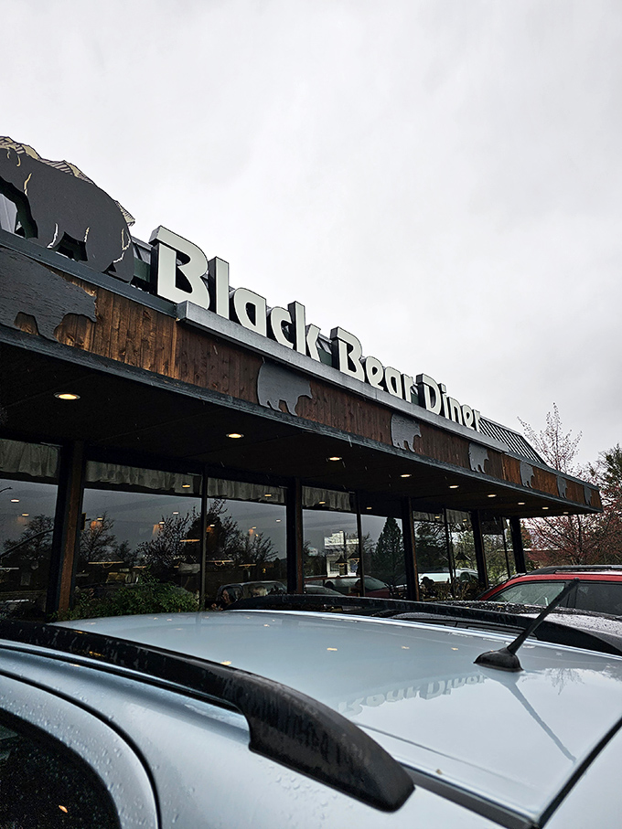 Black Bear Diner's rustic wooden facade promises comfort food that grandmother would approve of &ndash; hearty, unpretentious, and blissfully screenshot-free.