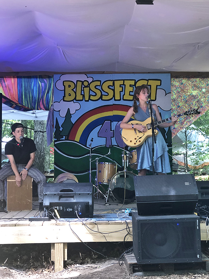Blissfest brings musical magic to northern Michigan, where talented performers and enthusiastic crowds create summer memories.