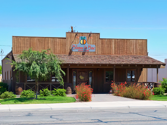 Bloom to Box Crop Care's rustic wooden fa&ccedil;ade brings a touch of country charm to Main Street, serving the agricultural backbone of Imperial Valley's economy.