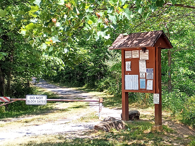 Trail information boards: the original GPS system that never loses signal and doesn't interrupt with ads for things you Googled yesterday.