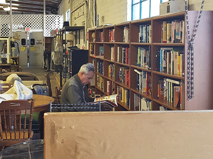 The book section: where literary adventures cost less than lunch and forgotten bestsellers get their encore performances.