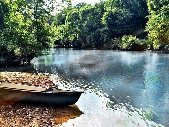 Buffalo River access points remind you that Tennessee's natural beauty doesn't require admission fees or reservations.