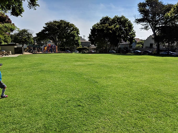 Caledonia Park offers that perfect small-town green space where dogs think they're in heaven and kids burn off ice cream energy.