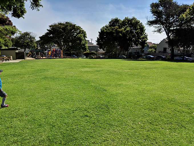 Caledonia Park offers that perfect small-town green space where dogs think they're in heaven and kids burn off ice cream energy.