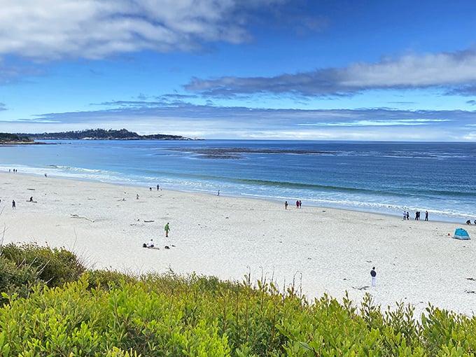 White sand beaches that feel like they belong in the Caribbean, but with that distinctly brisk Pacific water to remind you where you are.