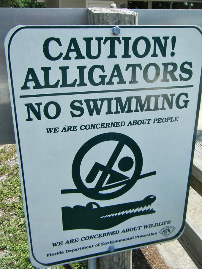 The most polite warning sign ever: "We're concerned about people" is Florida's way of saying "alligators find you crunchy and good with ketchup."