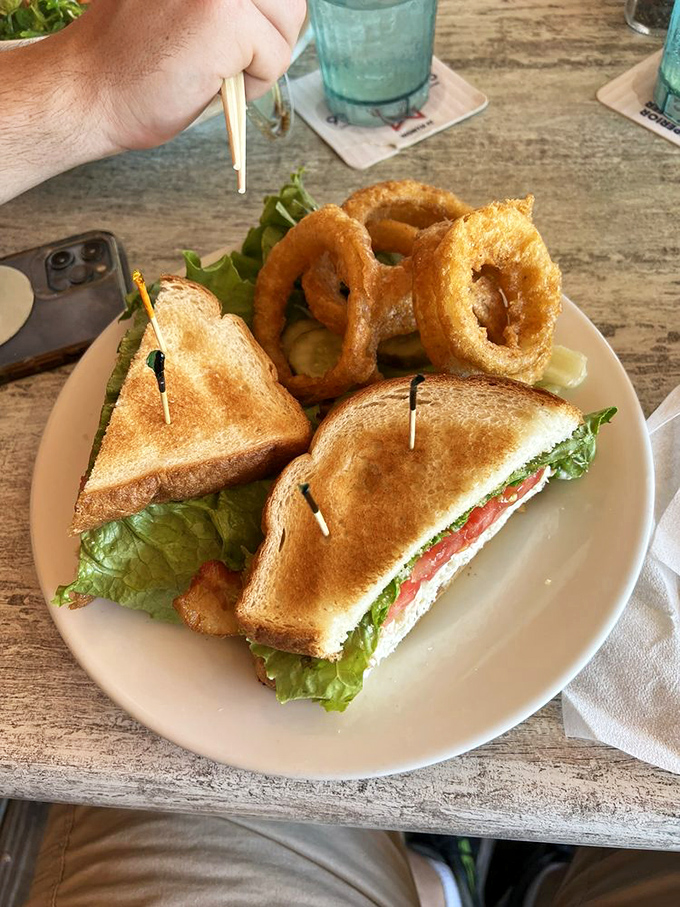 A sandwich that understands the importance of balance: crispy toast, fresh greens, and those onion rings playing the perfect sidekick role.