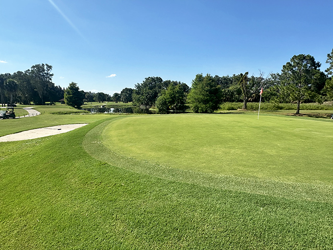 The Clewiston Golf Course offers emerald fairways without emerald prices, where water hazards double as alligator real estate in true Florida fashion.