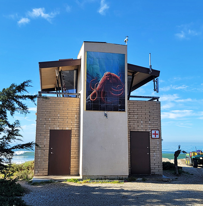 High-tech meets timeless beauty as science captures nature's ever-changing coastal moods perfectly.