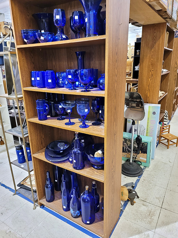 A cobalt blue glass collection that would make your grandmother swoon and your interior designer friend reluctantly admit it's actually quite stunning.