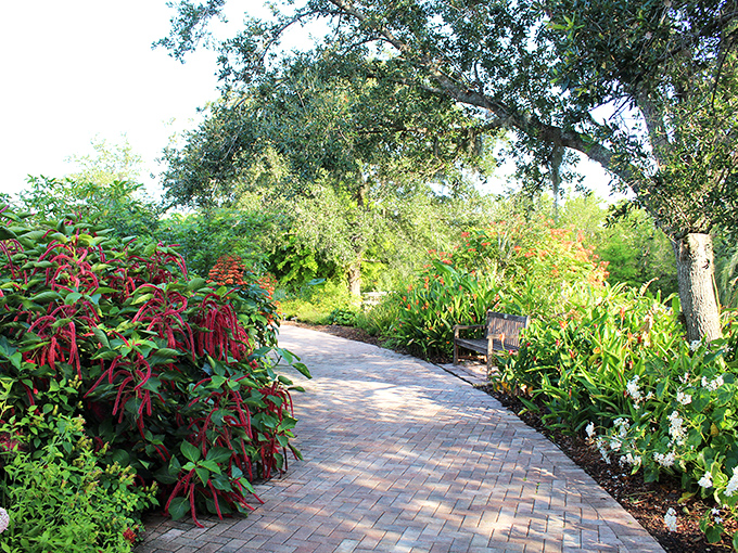This winding path promises adventure with every step, flanked by plants that seem to lean in and whisper, "This way to wonder."