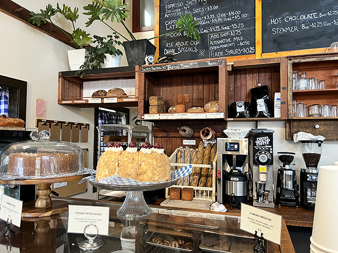 The counter buzzes with efficient energy as skilled hands craft each order with obvious care.