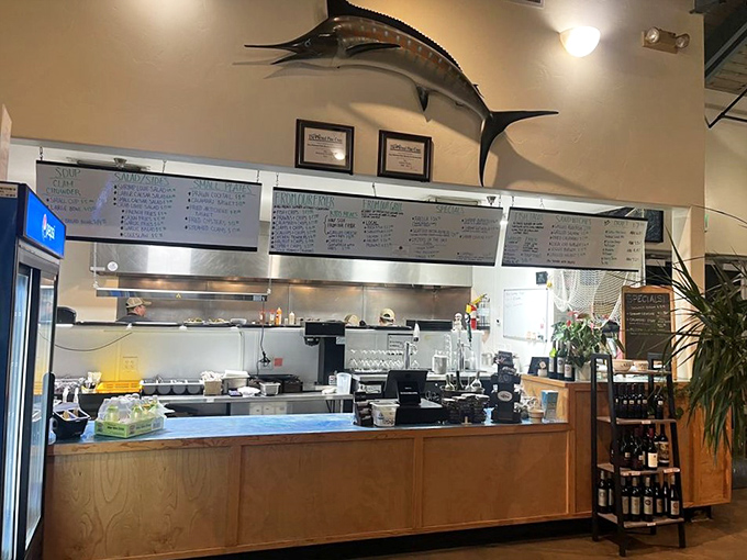 Behind this counter, seafood magic happens daily, with that mounted marlin keeping watchful eyes on quality control.