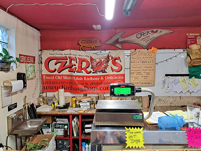 Behind this counter, Polish culinary traditions are preserved with the same care museums give to priceless artifacts.