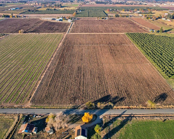 Agricultural fields stretch toward distant mountains, showcasing the working landscape that keeps Orland's economy grounded and grocery prices reasonable throughout the seasons.