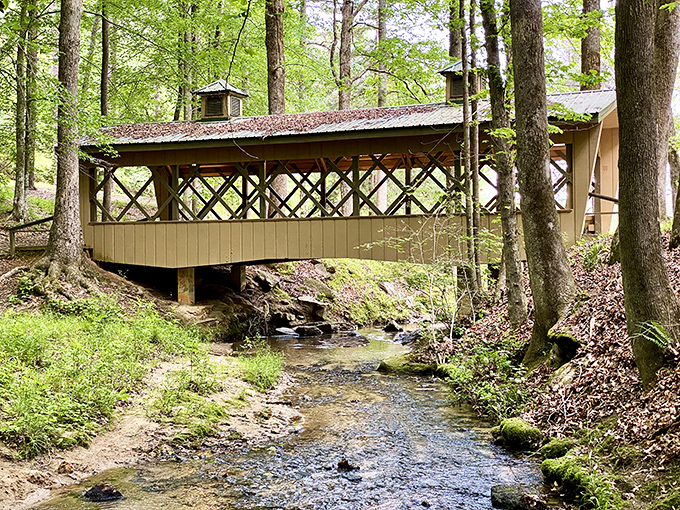 This covered bridge seems plucked from a storybook, spanning a gentle creek where time slows to match the unhurried pace of the water below.