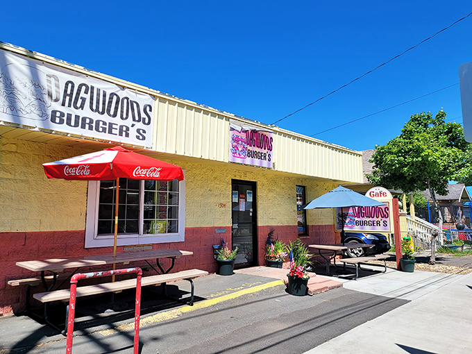 Soccer goals stand ready on sun-drenched fields where community games matter more than professional scores. Weekend warriors and future stars share the same grass. 