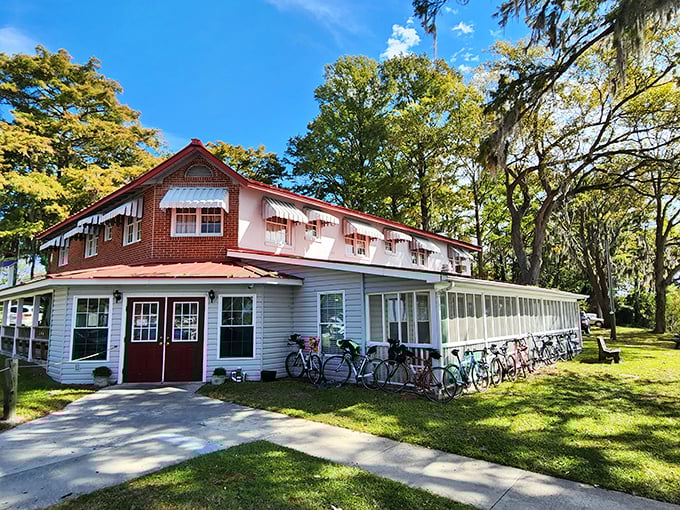 Dale's Seafood stands as a testament to the timeless truth that the best local restaurants don't need fancy websites or influencer campaigns.