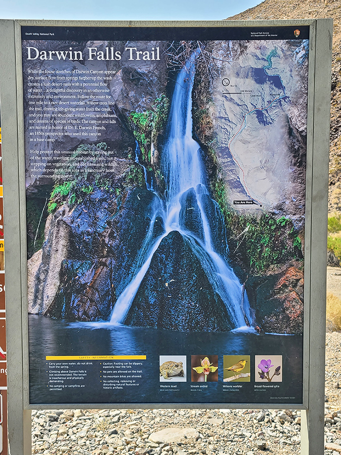 The trail sign offers a preview of coming attractions&mdash;like a movie poster that can't possibly capture the surreal experience waiting ahead.