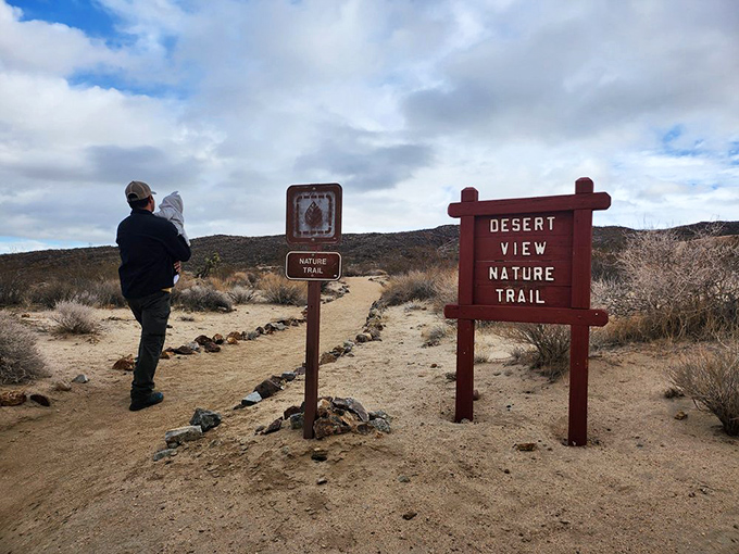Choose your own adventure! The Desert View Nature Trail invites explorers of all ages to discover the subtle beauty of California's high desert.