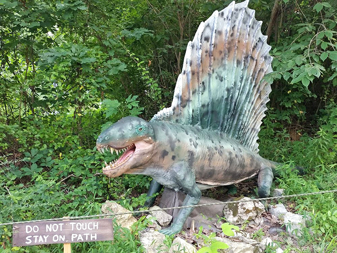 A Dimetrodon (technically not a dinosaur but a prehistoric reptile) displays its distinctive sail back with a "Do Not Touch" reminder for excited visitors.