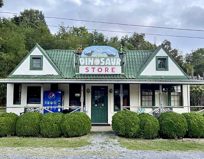 The charming "Dinosaur Store" promises souvenirs that are far more interesting than your typical "My friend went to Virginia" t-shirt.