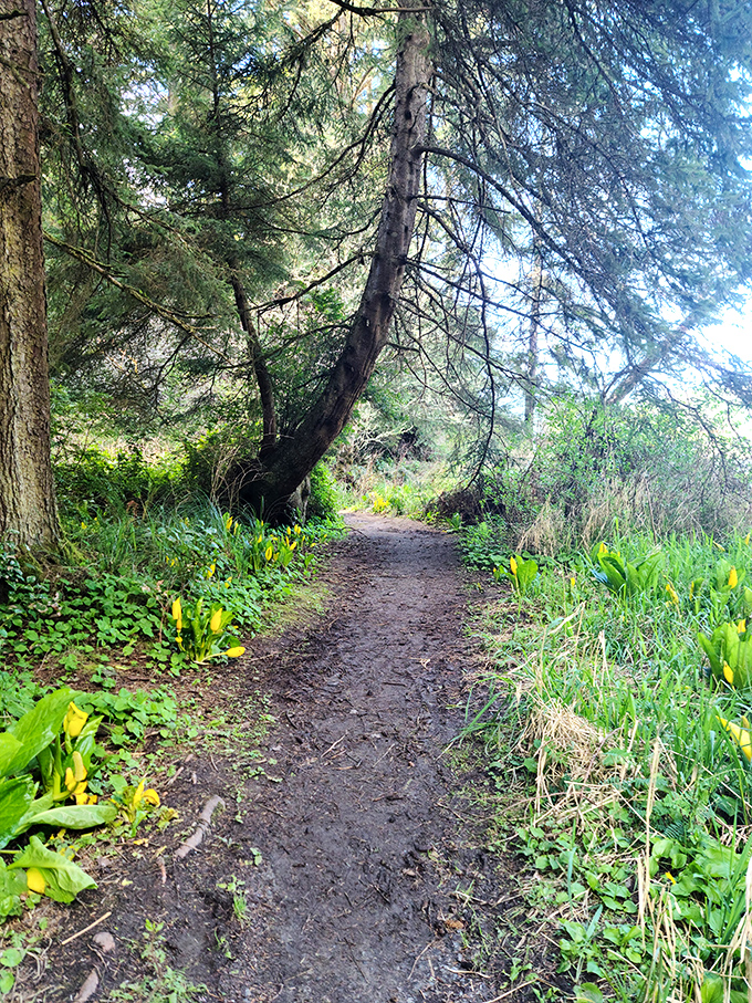 A forest path that practically whispers, "Follow me to somewhere magical" &ndash; or at least somewhere without cell service and spreadsheets.