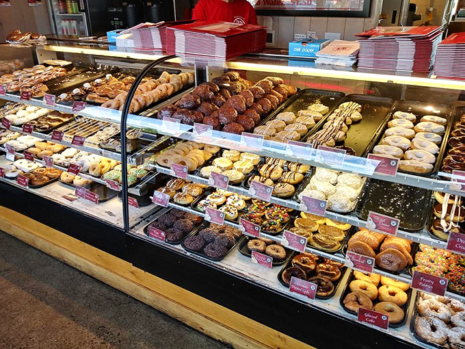 The display case—a museum of edible art where each shelf tells a different story of donut possibility.