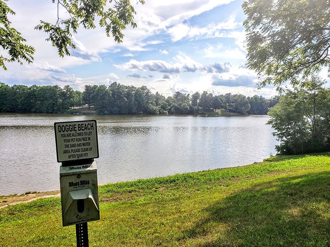 Even four-legged family members get their own beach here—proof that Harrison Lake understands vacation means everyone gets to have fun.