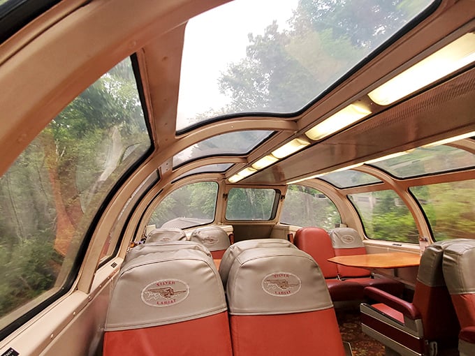 The dome car's curved glass ceiling creates nature's IMAX theater, offering passengers front-row seats to Ohio's changing seasons from plush vintage seating.