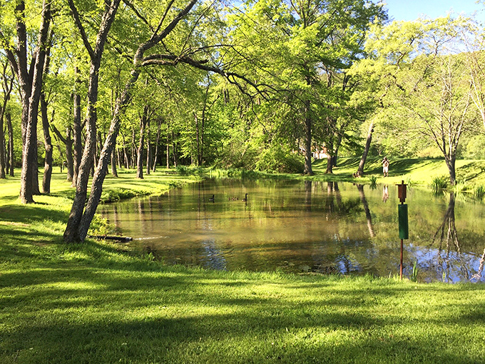 Mother Nature showing off her landscaping skills with this serene pond scene&mdash;proving Titusville's beauty extends well beyond its historic downtown.