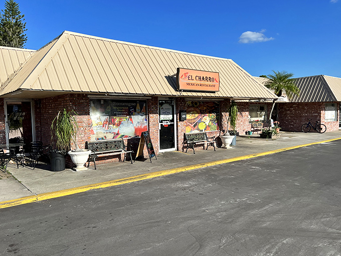 El Charro brings authentic Mexican flavors to rural Florida, proving good food knows no borders&mdash;just like the best road trip discoveries.