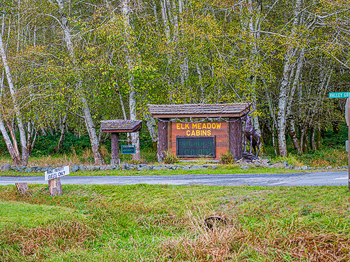 Elk Meadow Cabins nestled at the forest edge &ndash; where rustic charm meets wilderness in a pairing more perfect than wine and cheese.