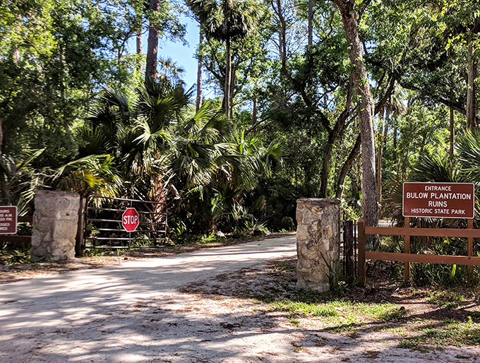 Gateway to yesterday. Stone pillars frame the entrance to Bulow Plantation Ruins, where Florida's complex past meets its wild present.