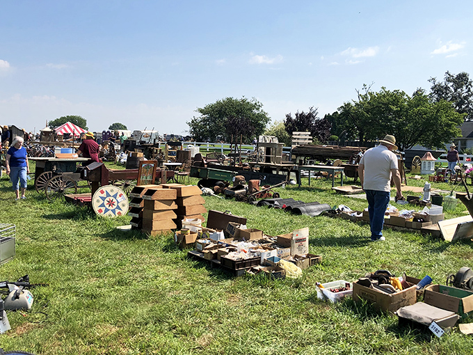 Treasure hunting at its finest. One person's "stuff" is another's conversation piece&mdash;each box a mystery waiting to be solved.