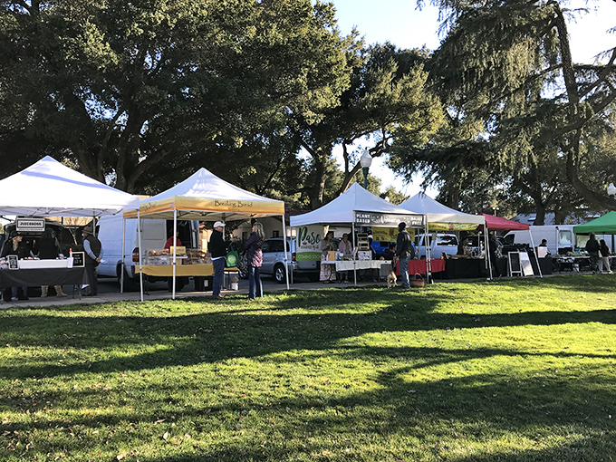 The weekly farmers market transforms green space into a community gathering spot where "locally sourced" isn't a marketing gimmick but a way of life.