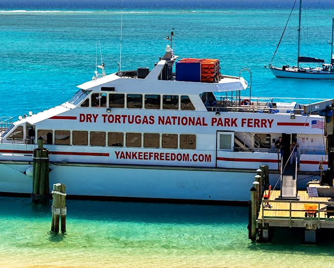 The Yankee Freedom III ferry&mdash;your chariot to isolation. This high-speed catamaran transforms a 70-mile journey into a marine safari of dolphins and flying fish.
