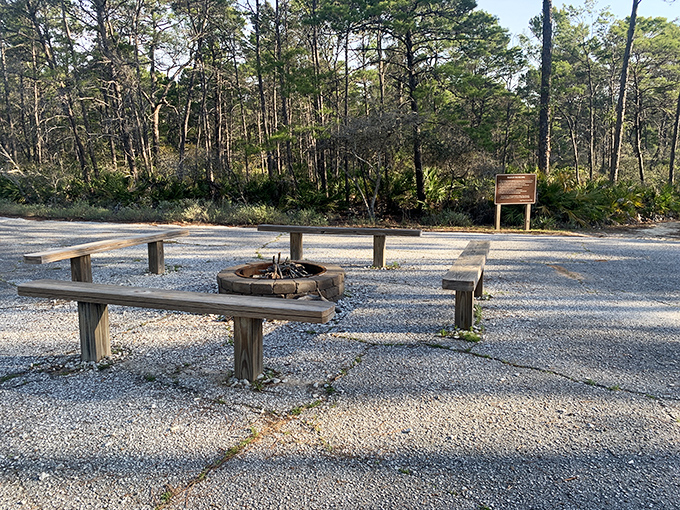 Campfire conversations waiting to happen. Where ghost stories and marshmallows create memories that outlast the embers. 