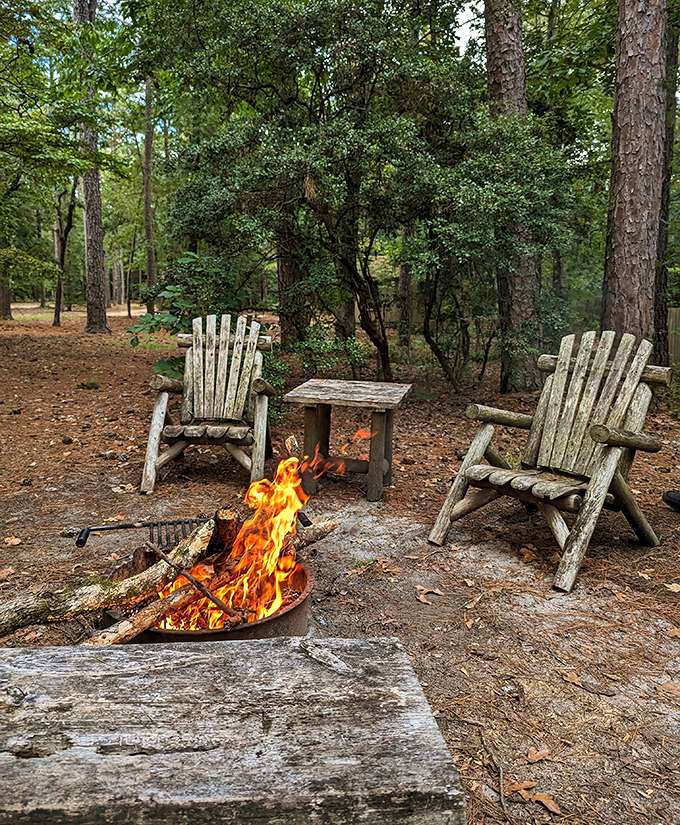 Two rustic chairs, one crackling fire, zero screens. The original Netflix and chill, as nature intended since the dawn of time. 