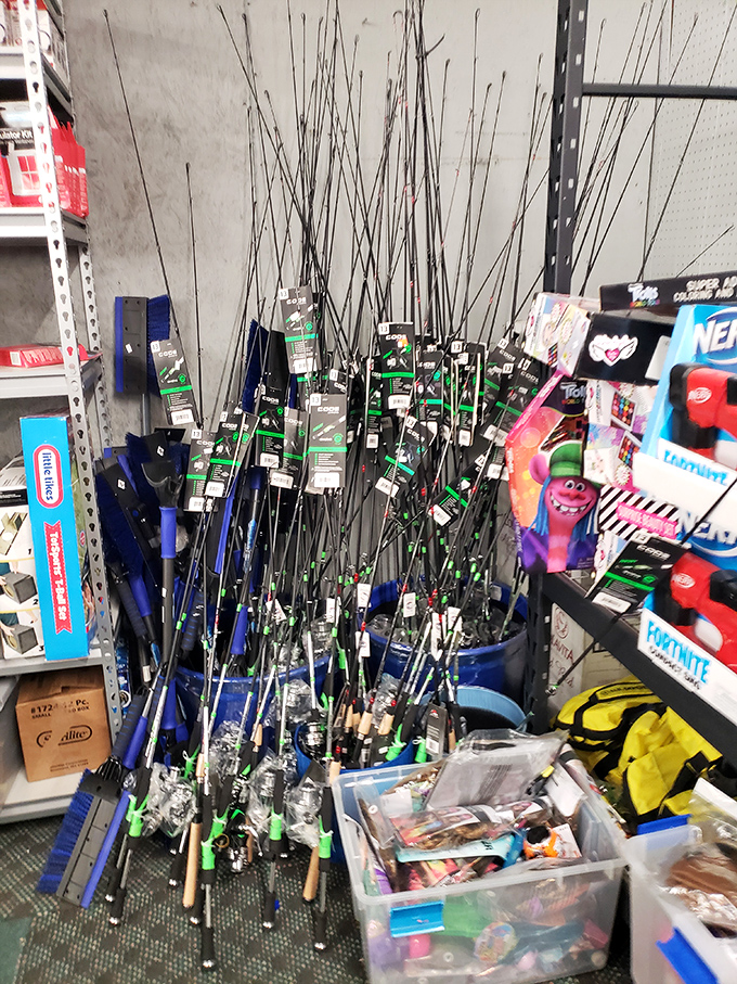 Fishing rods ready for adventure - because catching dinner shouldn't require catching a second mortgage.